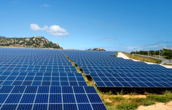 Prescient Backs Reatile's Stake in Major Solar Project