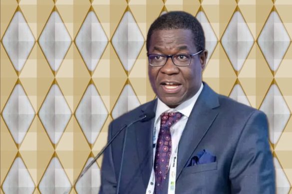 Guinea-Bissau Names Julio Baldé as New Resources Minister